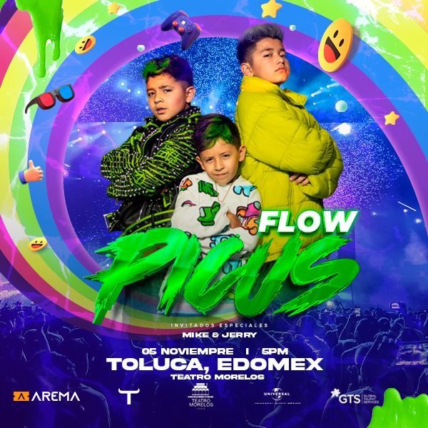 Flow Picus - AREMA Ticket