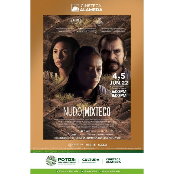 Nudo Mixteco - AREMA Ticket